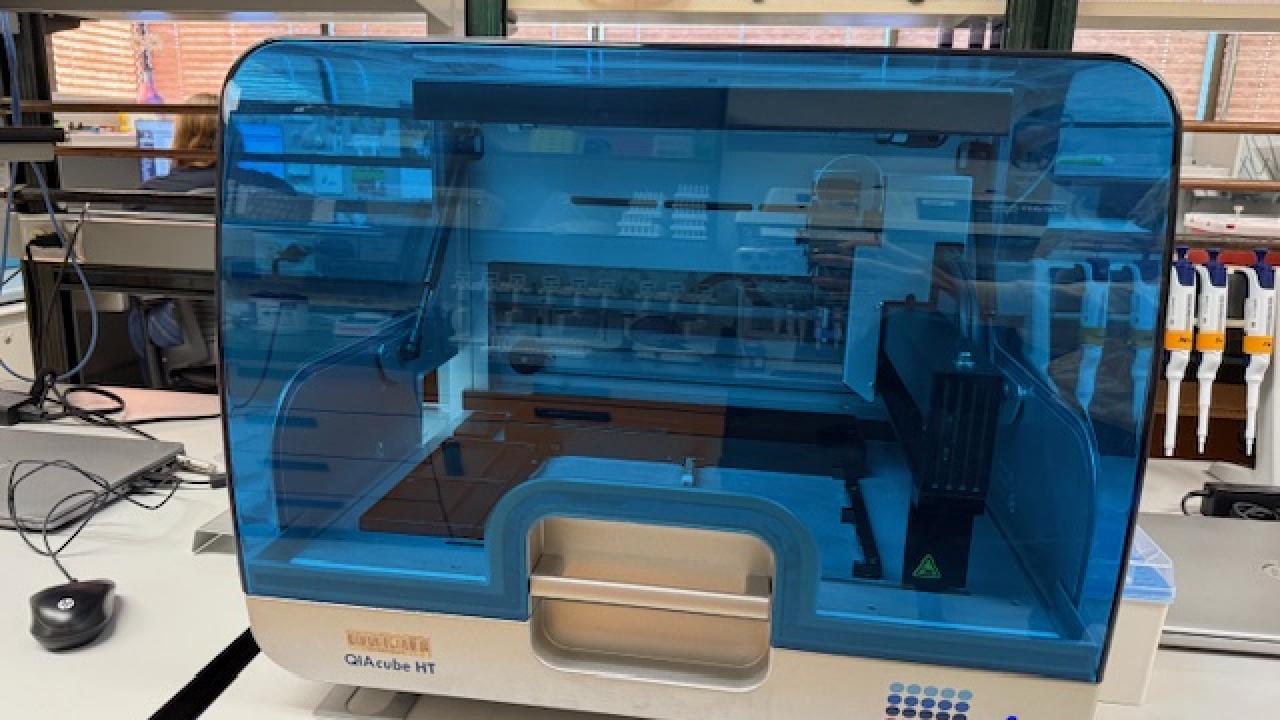 Real-time PCR Research and Diagnostics Core Facility - Research Technology